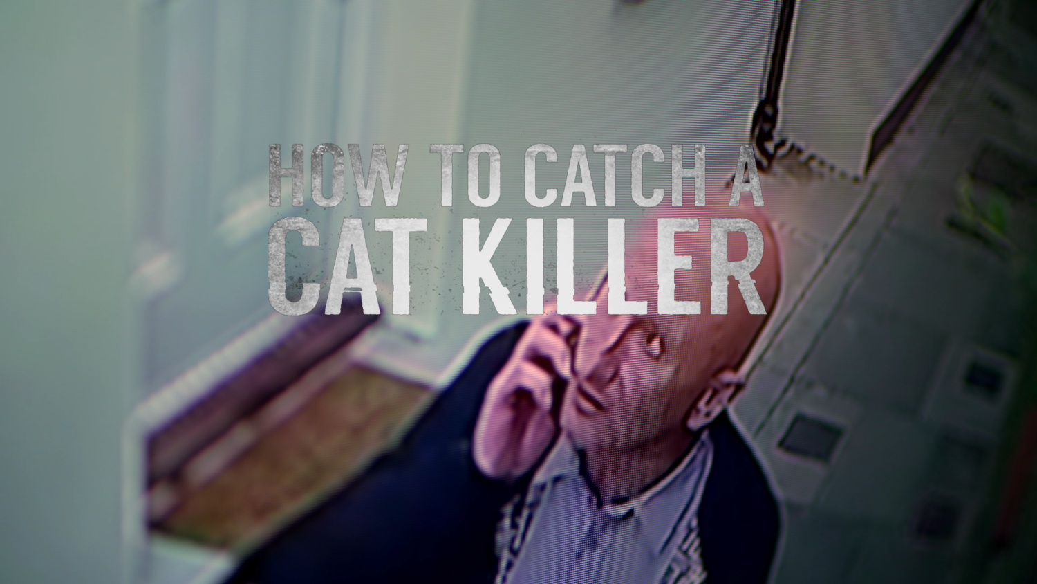How To Catch A Cat Killer | MultiStory TV